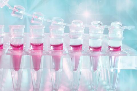 Melt-DISK | Mold Masters